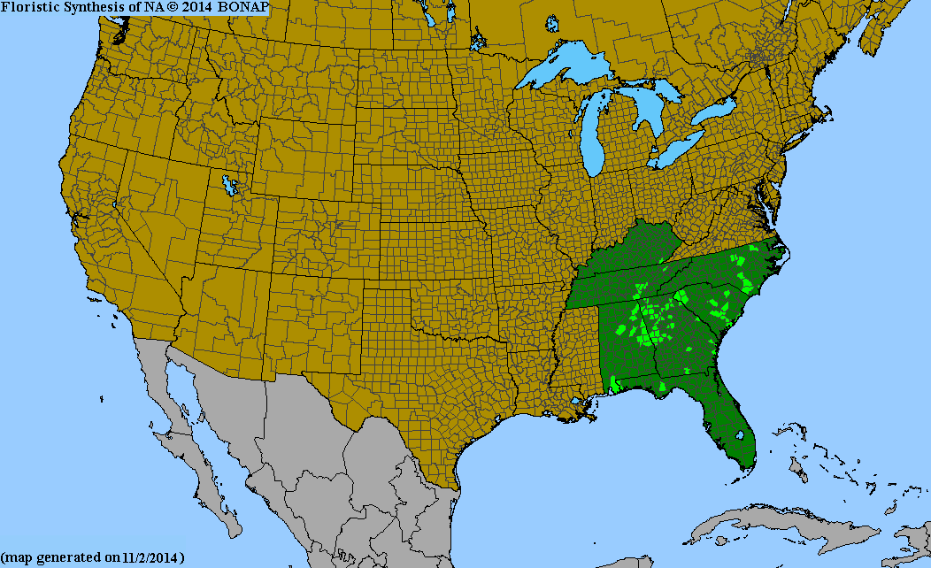 2013 BONAP North American Plant Atlas. TaxonMaps
