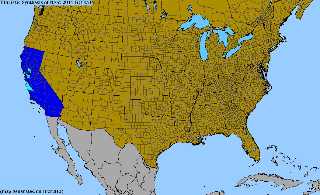 2013 BONAP North American Plant Atlas. TaxonMaps
