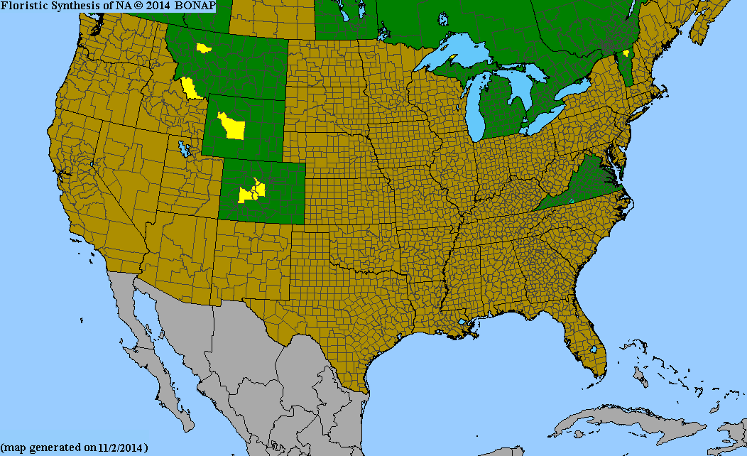 2013 BONAP North American Plant Atlas. TaxonMaps