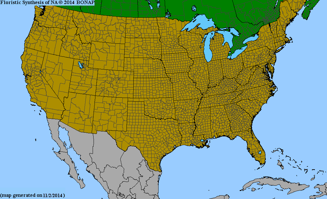 2013 BONAP North American Plant Atlas. TaxonMaps