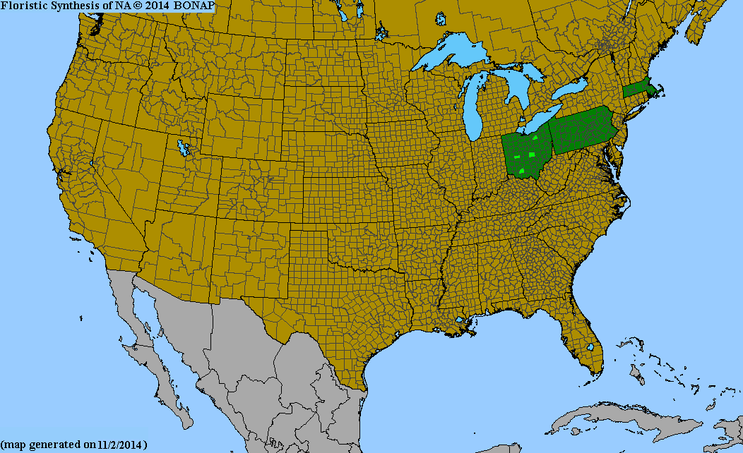 2013 BONAP North American Plant Atlas. TaxonMaps