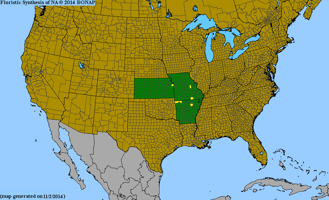 2013 BONAP North American Plant Atlas. TaxonMaps