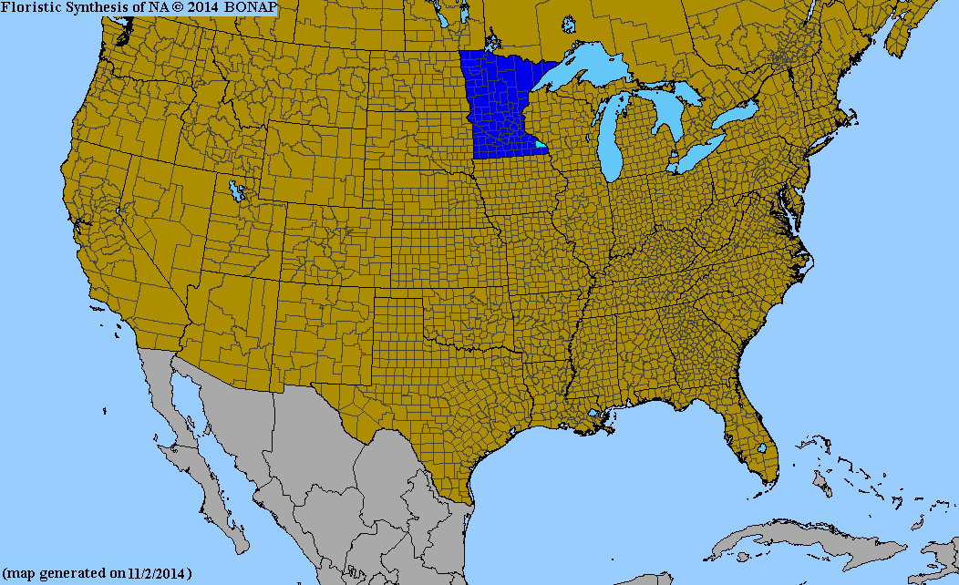 2013 BONAP North American Plant Atlas. TaxonMaps