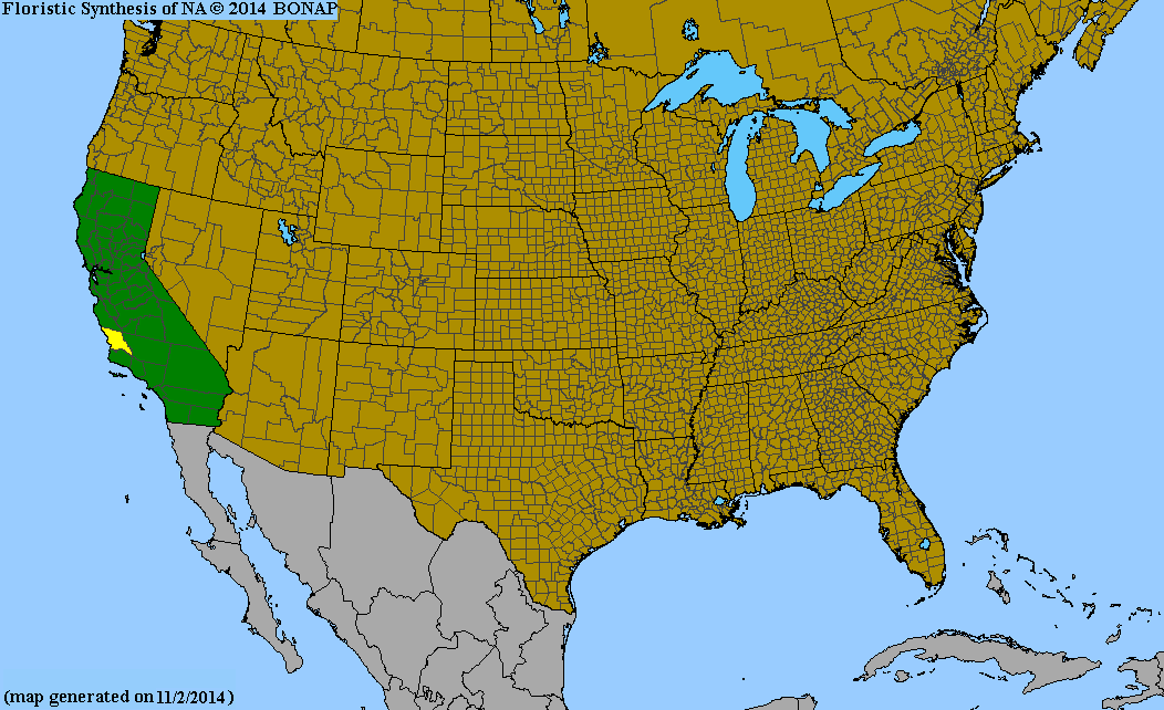 2013 BONAP North American Plant Atlas. TaxonMaps