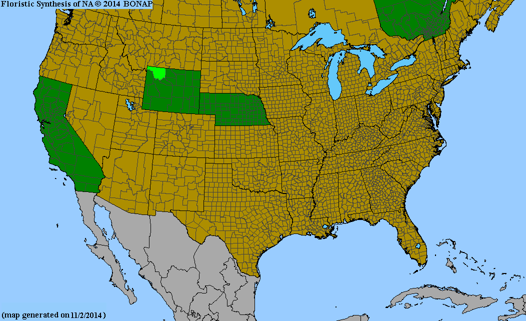 2013 BONAP North American Plant Atlas. TaxonMaps
