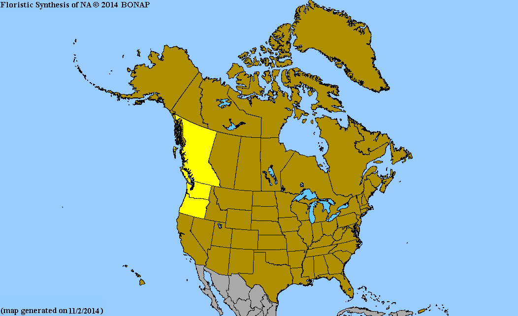 2013 BONAP North American Plant Atlas. TaxonMaps