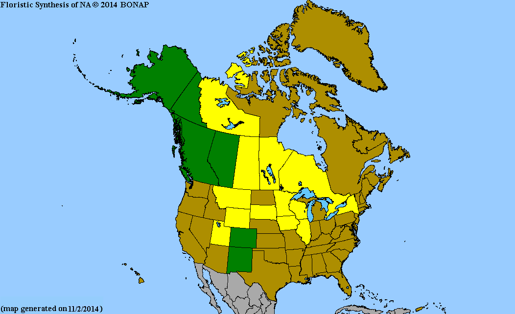2013 BONAP North American Plant Atlas. TaxonMaps