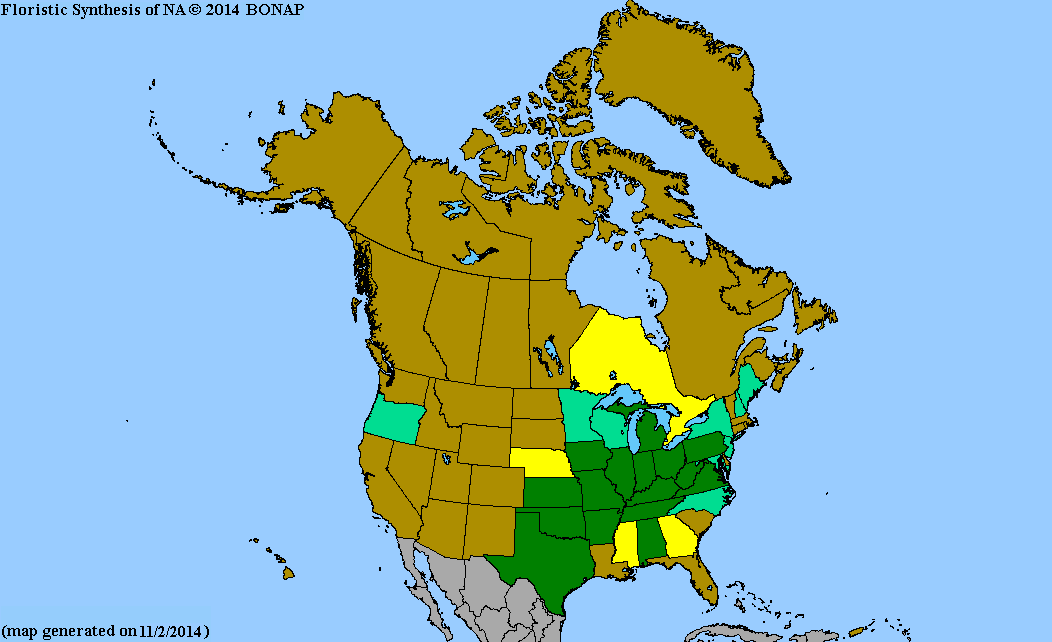 2013 BONAP North American Plant Atlas. TaxonMaps