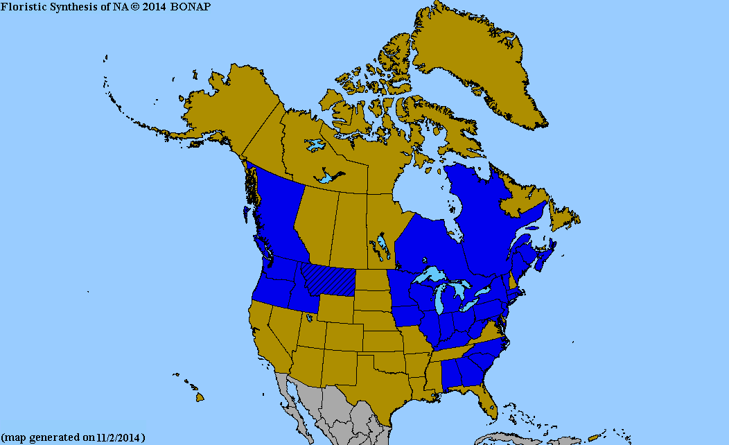 2013 BONAP North American Plant Atlas. TaxonMaps