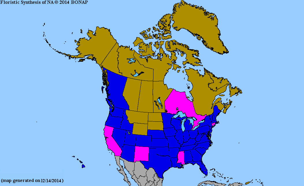 2013 BONAP North American Plant Atlas. TaxonMaps
