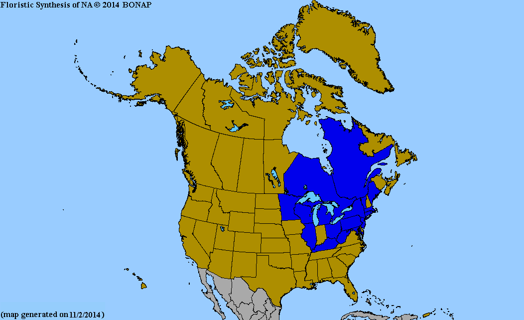 2013 BONAP North American Plant Atlas. TaxonMaps