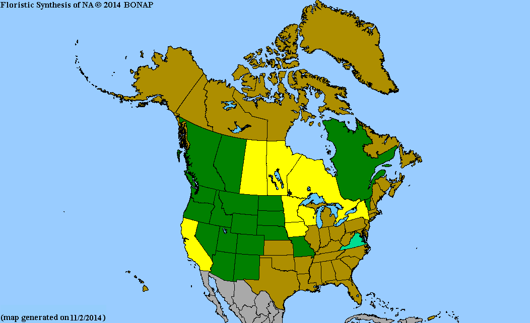 2013 BONAP North American Plant Atlas. TaxonMaps
