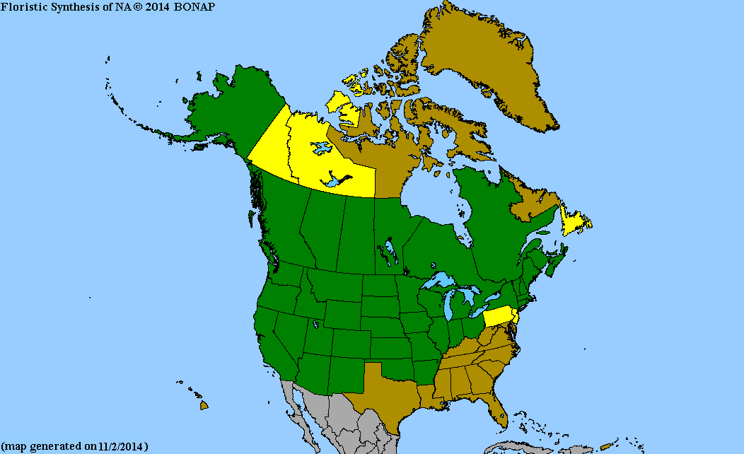 2013 BONAP North American Plant Atlas. TaxonMaps