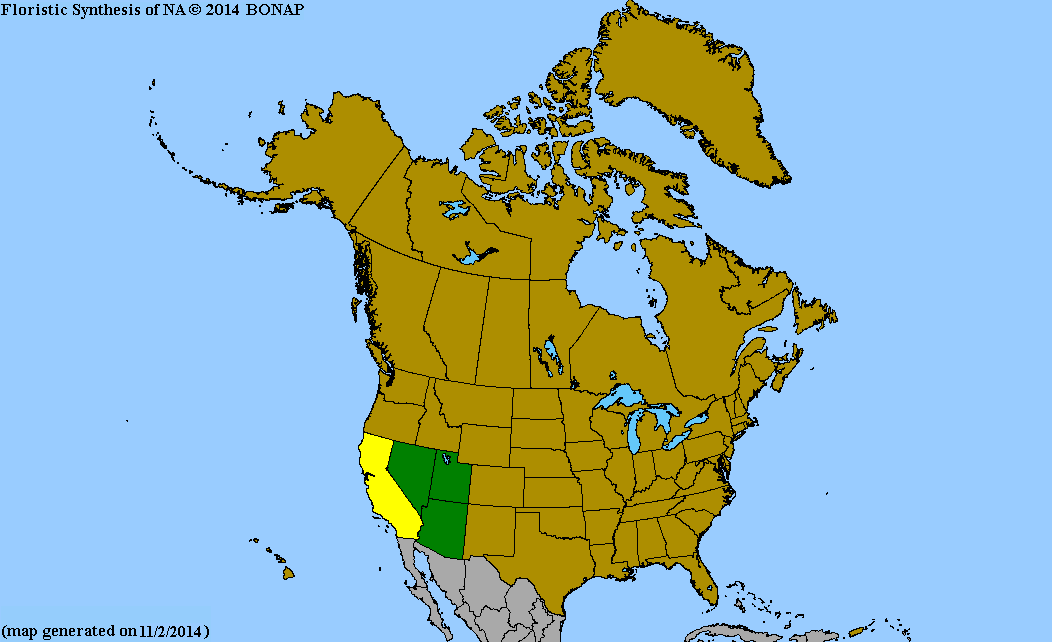 2013 BONAP North American Plant Atlas. TaxonMaps