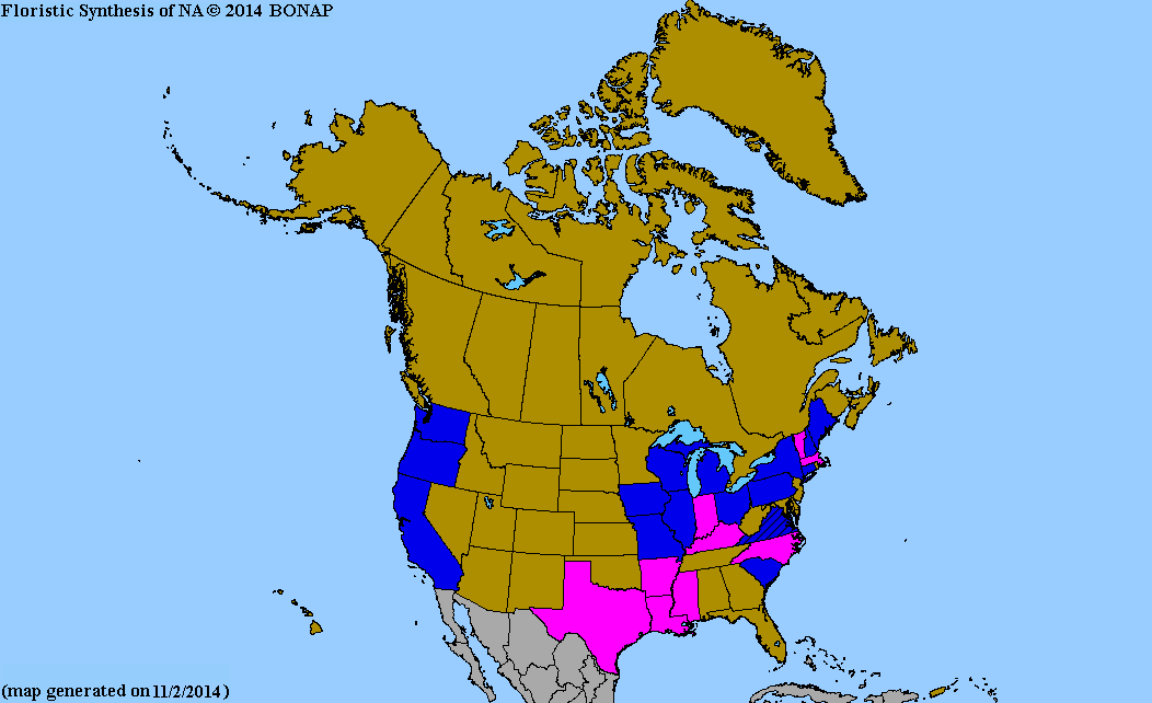 2013 BONAP North American Plant Atlas. TaxonMaps