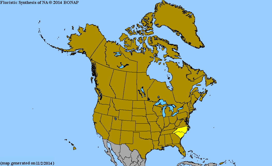 2013 BONAP North American Plant Atlas. TaxonMaps