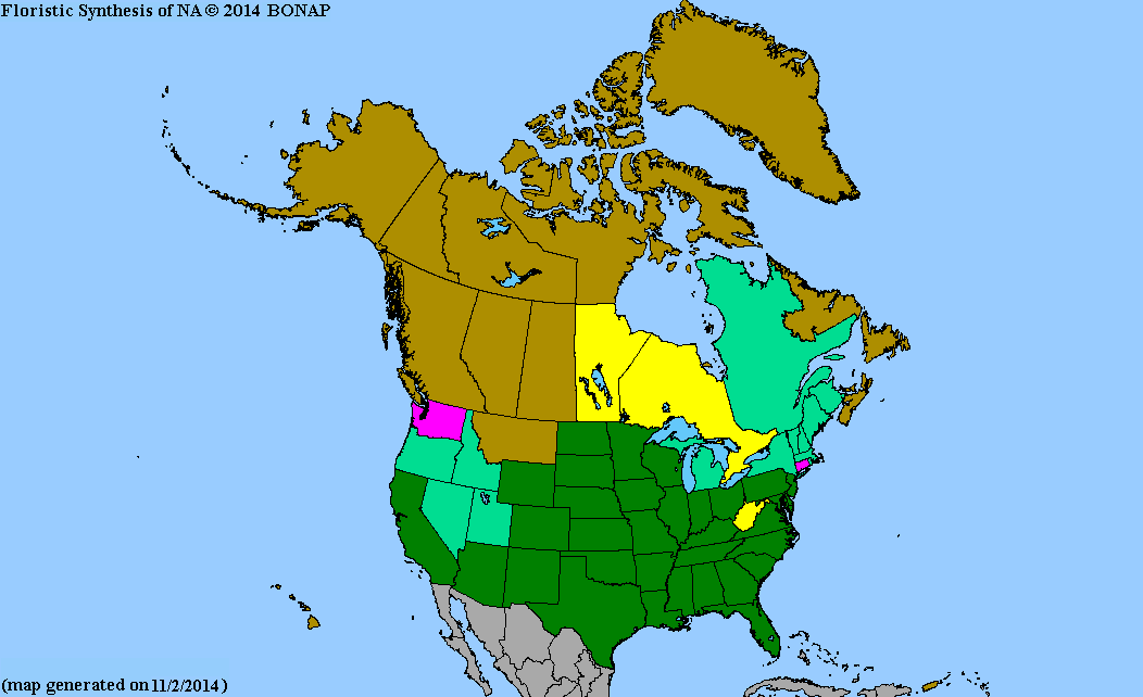 2013 BONAP North American Plant Atlas. TaxonMaps