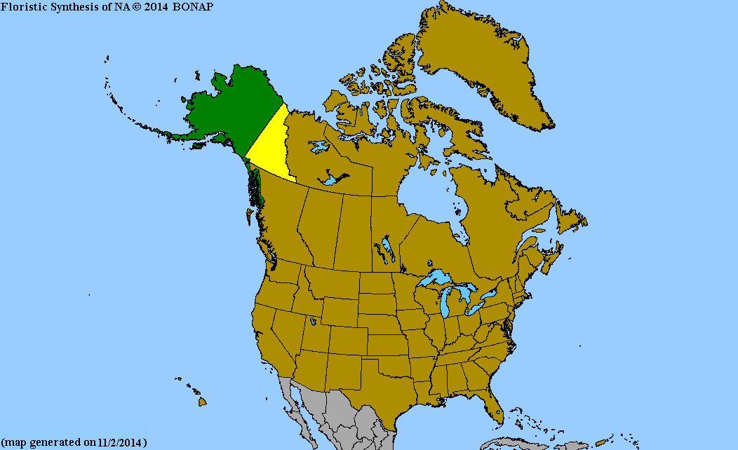 2013 BONAP North American Plant Atlas. TaxonMaps