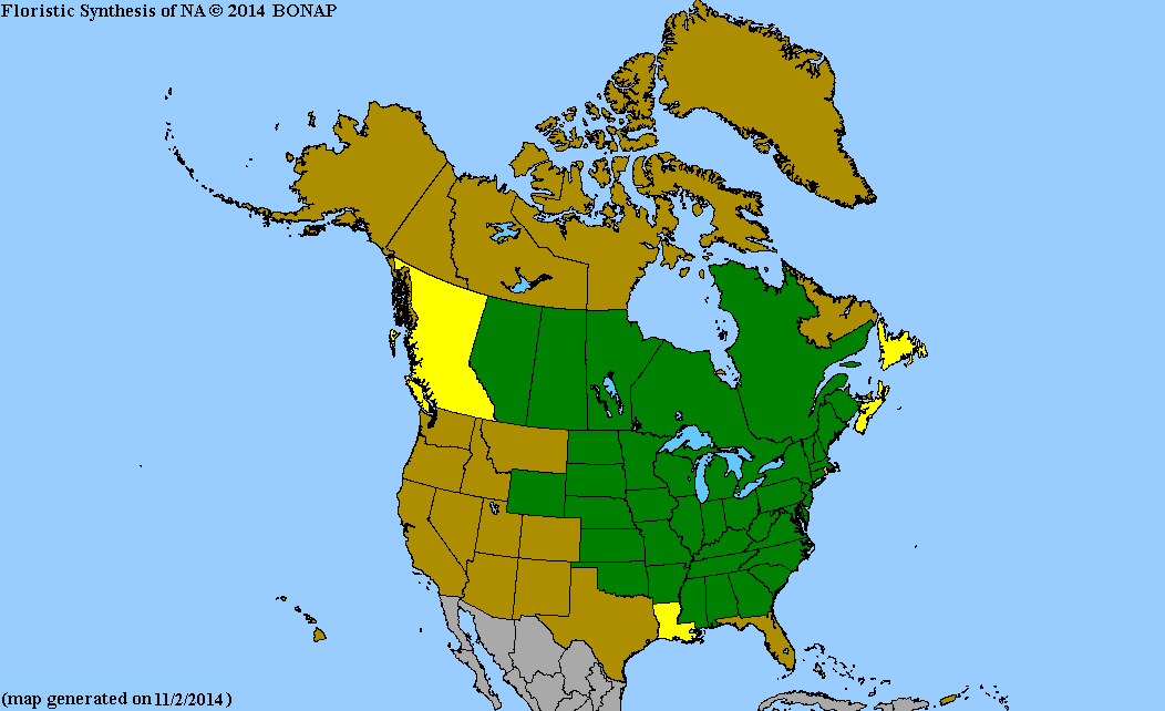 2013 BONAP North American Plant Atlas. TaxonMaps