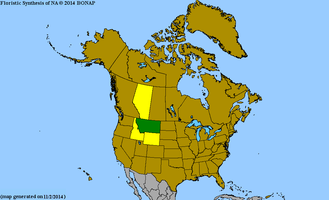2013 BONAP North American Plant Atlas. TaxonMaps