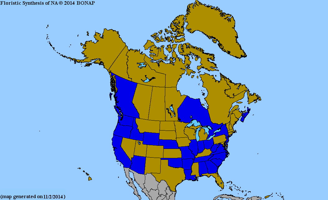 2013 BONAP North American Plant Atlas. TaxonMaps