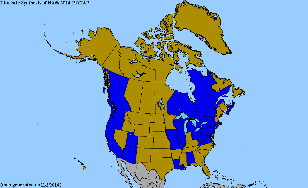 2013 BONAP North American Plant Atlas. TaxonMaps