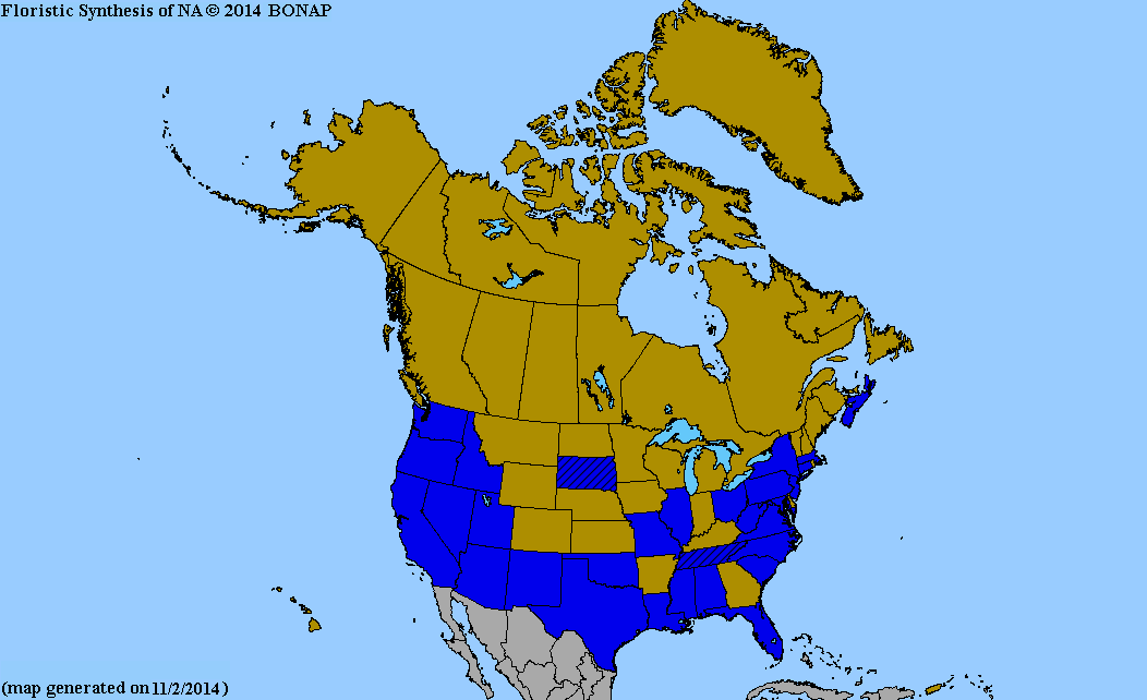 2013 BONAP North American Plant Atlas. TaxonMaps
