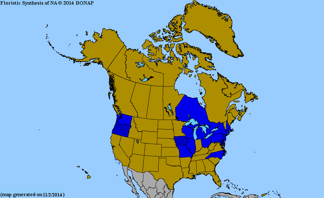2013 BONAP North American Plant Atlas. TaxonMaps