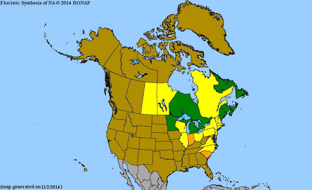 2013 BONAP North American Plant Atlas. TaxonMaps
