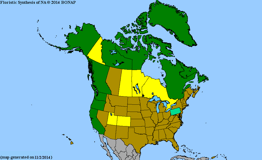 2013 BONAP North American Plant Atlas. TaxonMaps