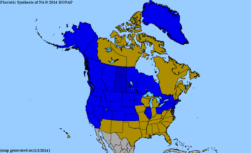 2013 BONAP North American Plant Atlas. TaxonMaps