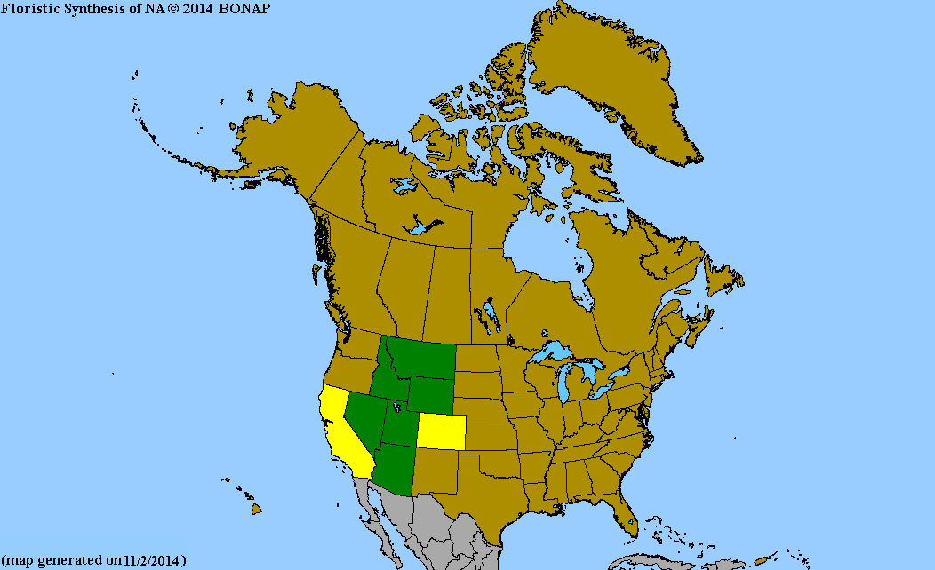 2013 BONAP North American Plant Atlas. TaxonMaps