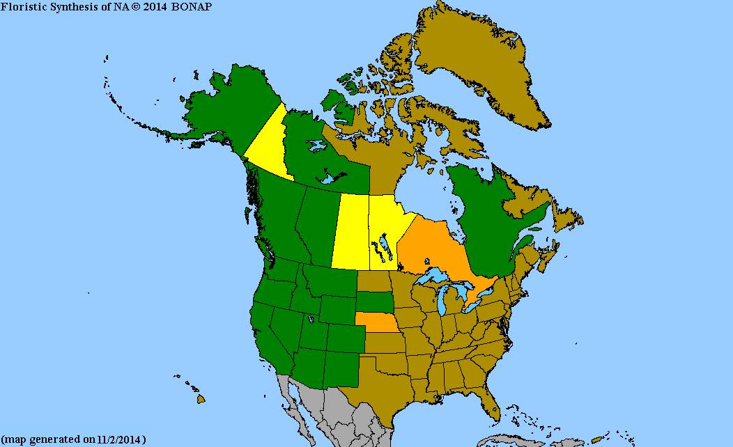 2013 BONAP North American Plant Atlas. TaxonMaps