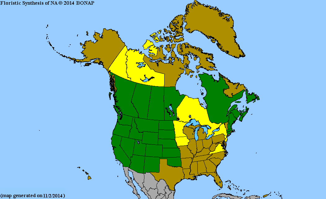 2013 BONAP North American Plant Atlas. TaxonMaps
