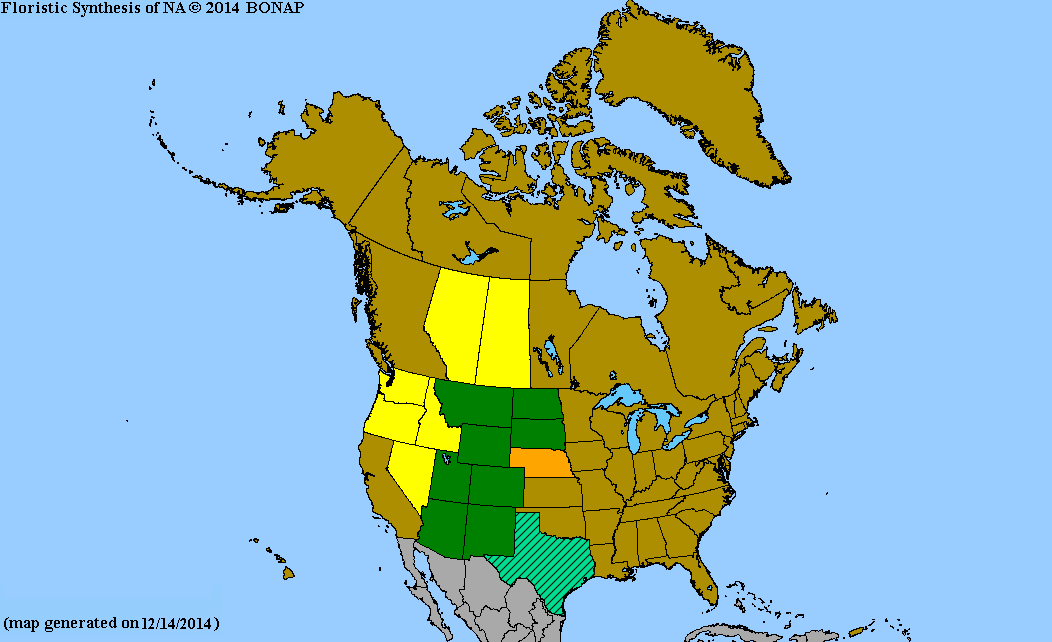 2013 BONAP North American Plant Atlas. TaxonMaps