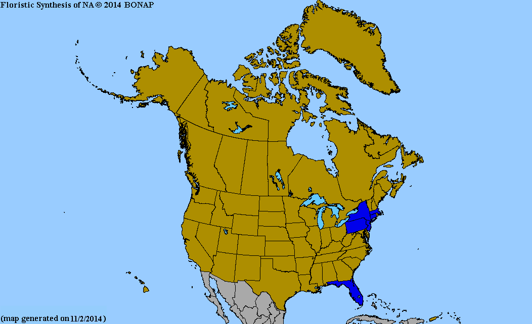 2013 BONAP North American Plant Atlas. TaxonMaps