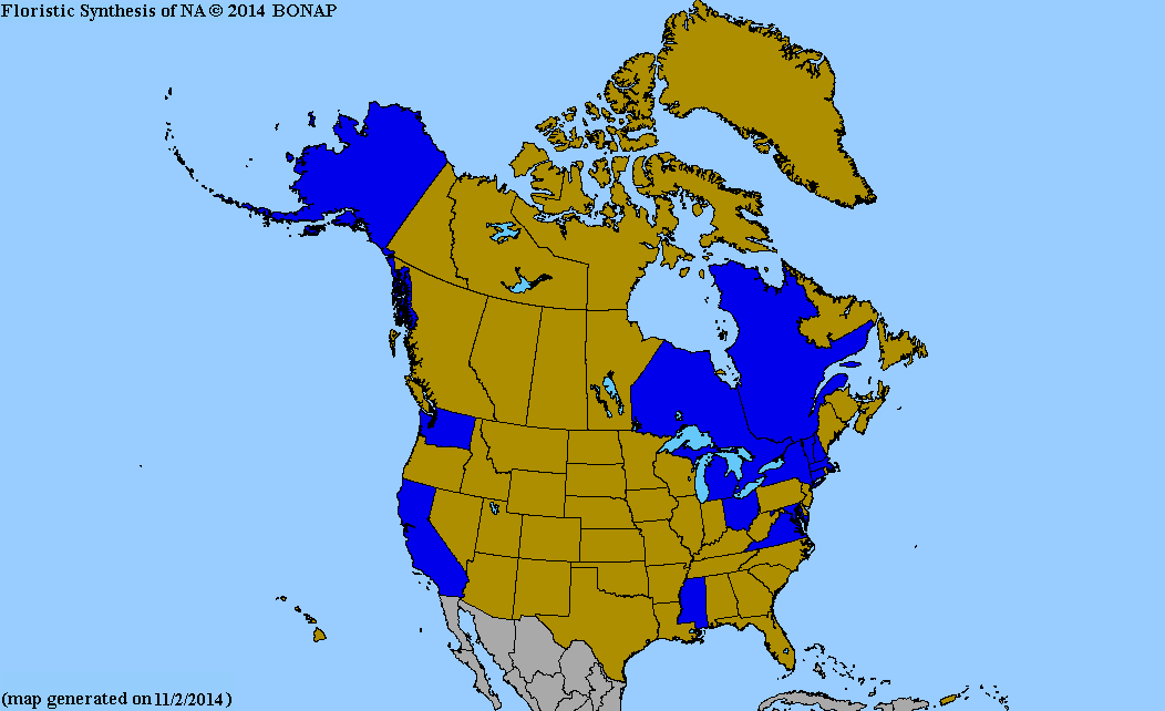 2013 BONAP North American Plant Atlas. TaxonMaps