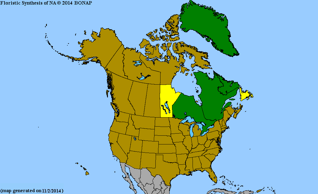 2013 BONAP North American Plant Atlas. TaxonMaps