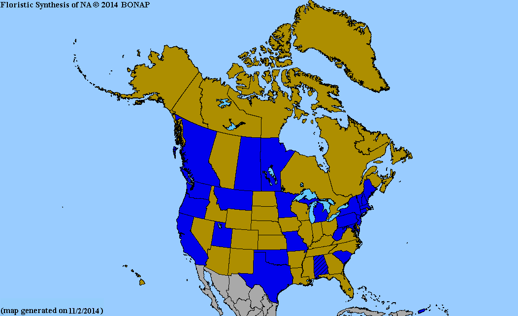 2013 BONAP North American Plant Atlas. TaxonMaps