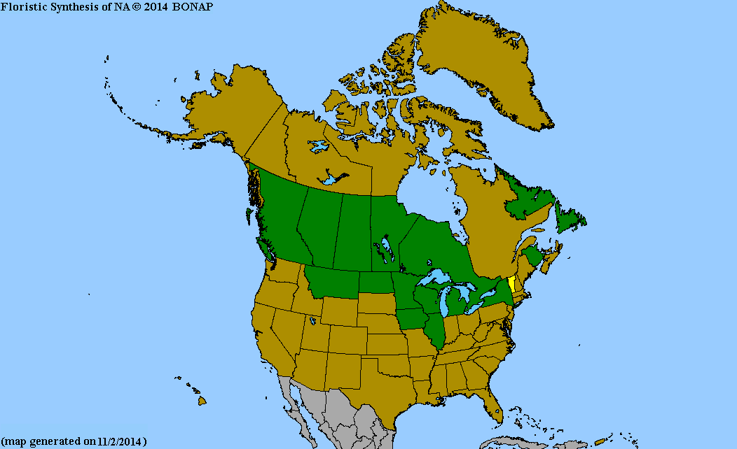 2013 BONAP North American Plant Atlas. TaxonMaps
