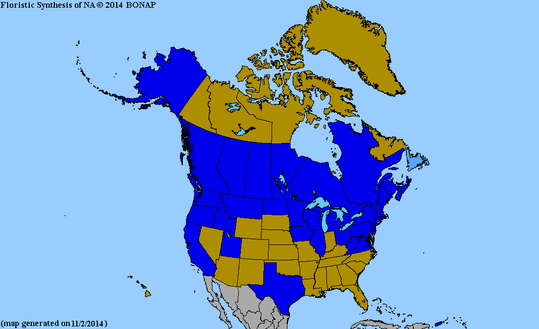 2013 BONAP North American Plant Atlas. TaxonMaps