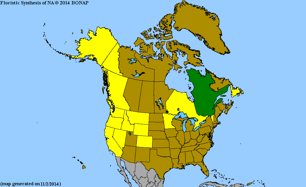 2013 BONAP North American Plant Atlas. TaxonMaps