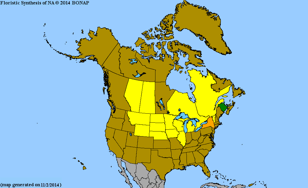 2013 BONAP North American Plant Atlas. TaxonMaps