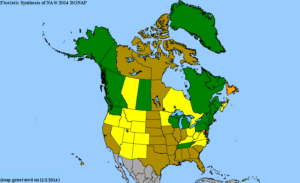 2013 BONAP North American Plant Atlas. TaxonMaps