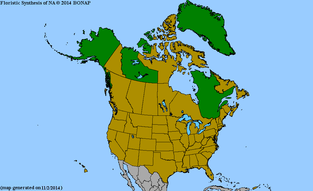 2013 BONAP North American Plant Atlas. TaxonMaps