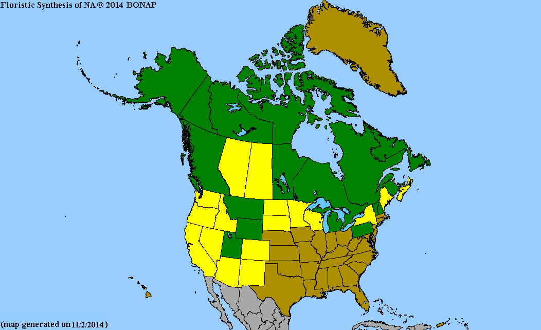 2013 BONAP North American Plant Atlas. TaxonMaps