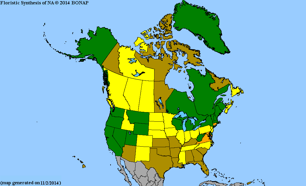 2013 BONAP North American Plant Atlas. TaxonMaps
