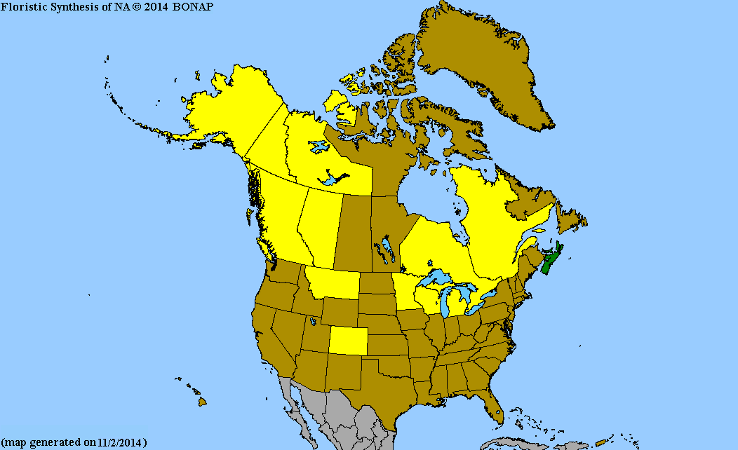 2013 BONAP North American Plant Atlas. TaxonMaps