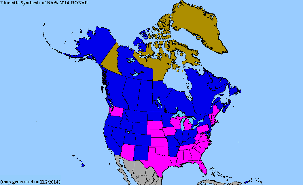 2013 BONAP North American Plant Atlas. TaxonMaps