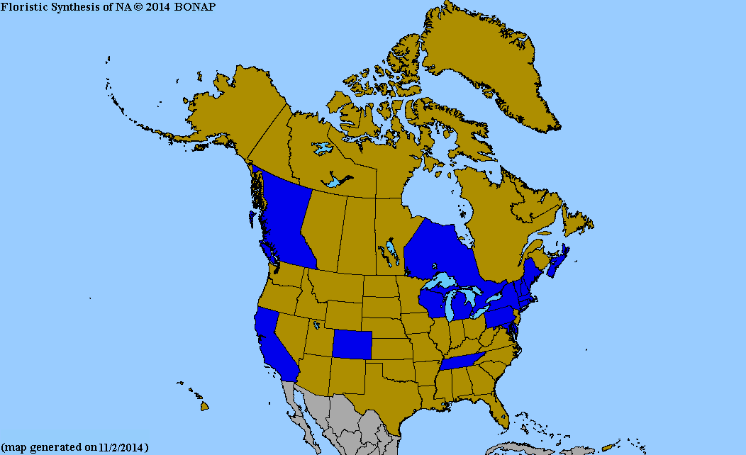 2013 BONAP North American Plant Atlas. TaxonMaps